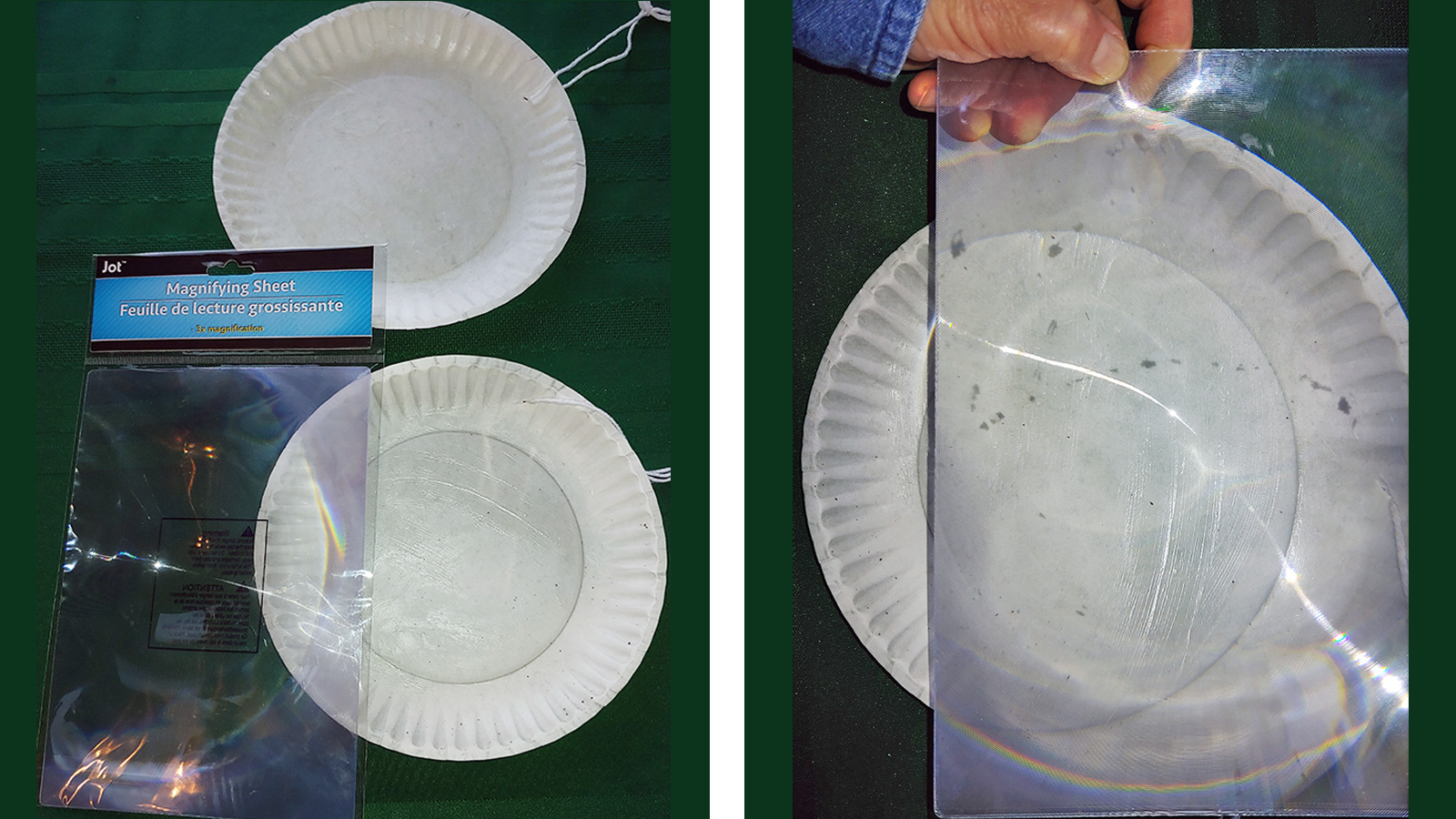 Can you determine what these are?